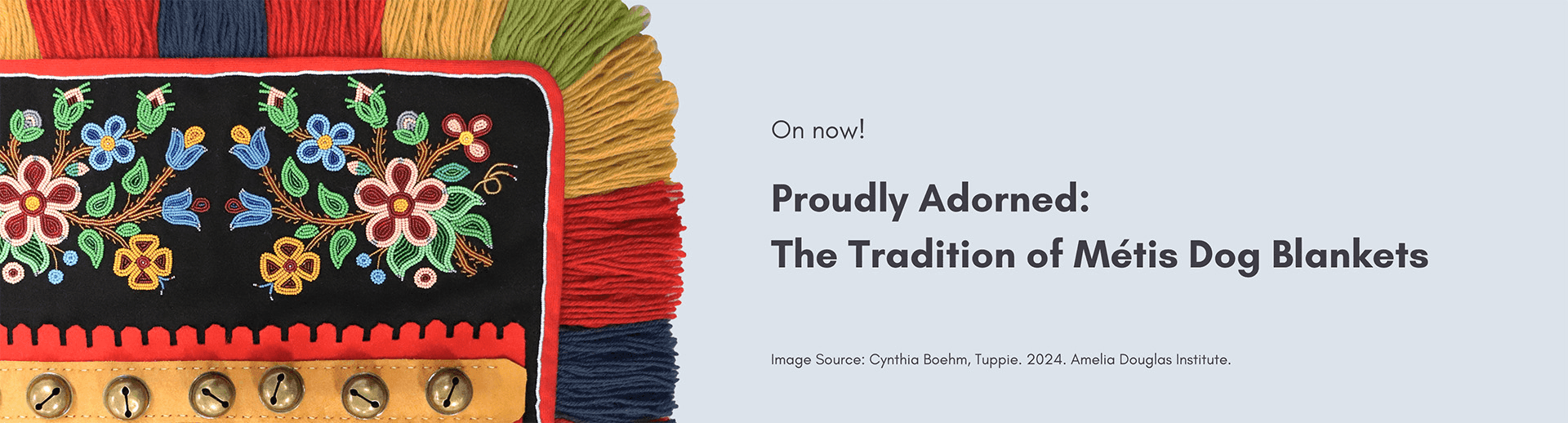 the Amelia Douglas Institute